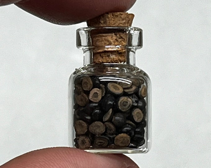 Micro Collection of Paleocene Drum Fish Teeth - Etsy