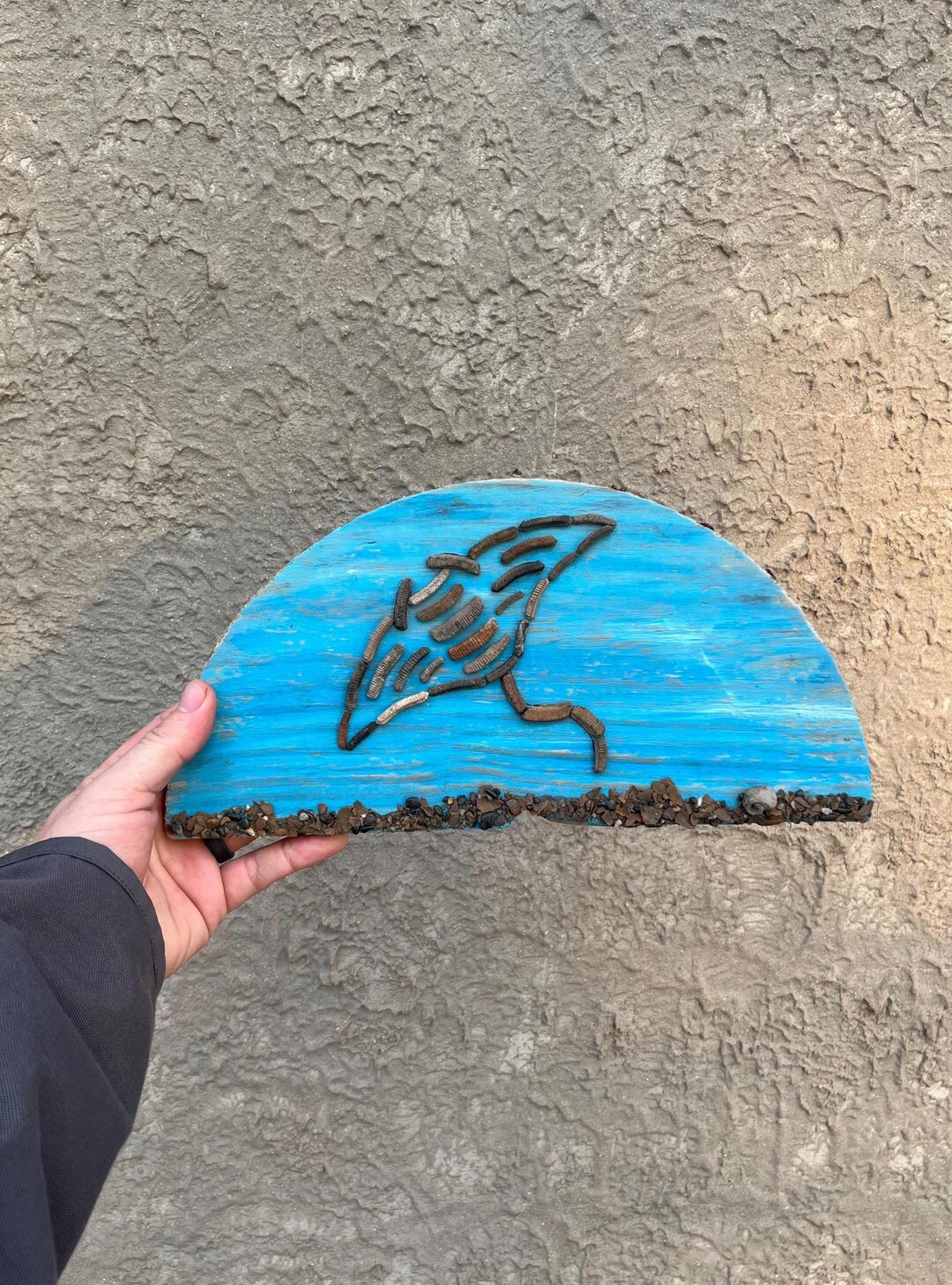 Stingray Art Made Out of Fossilized Ray Crushing Plates - Etsy