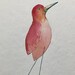 Whimsical Red Standing Bird Original Watercolor, Tall Thin Redbird ...