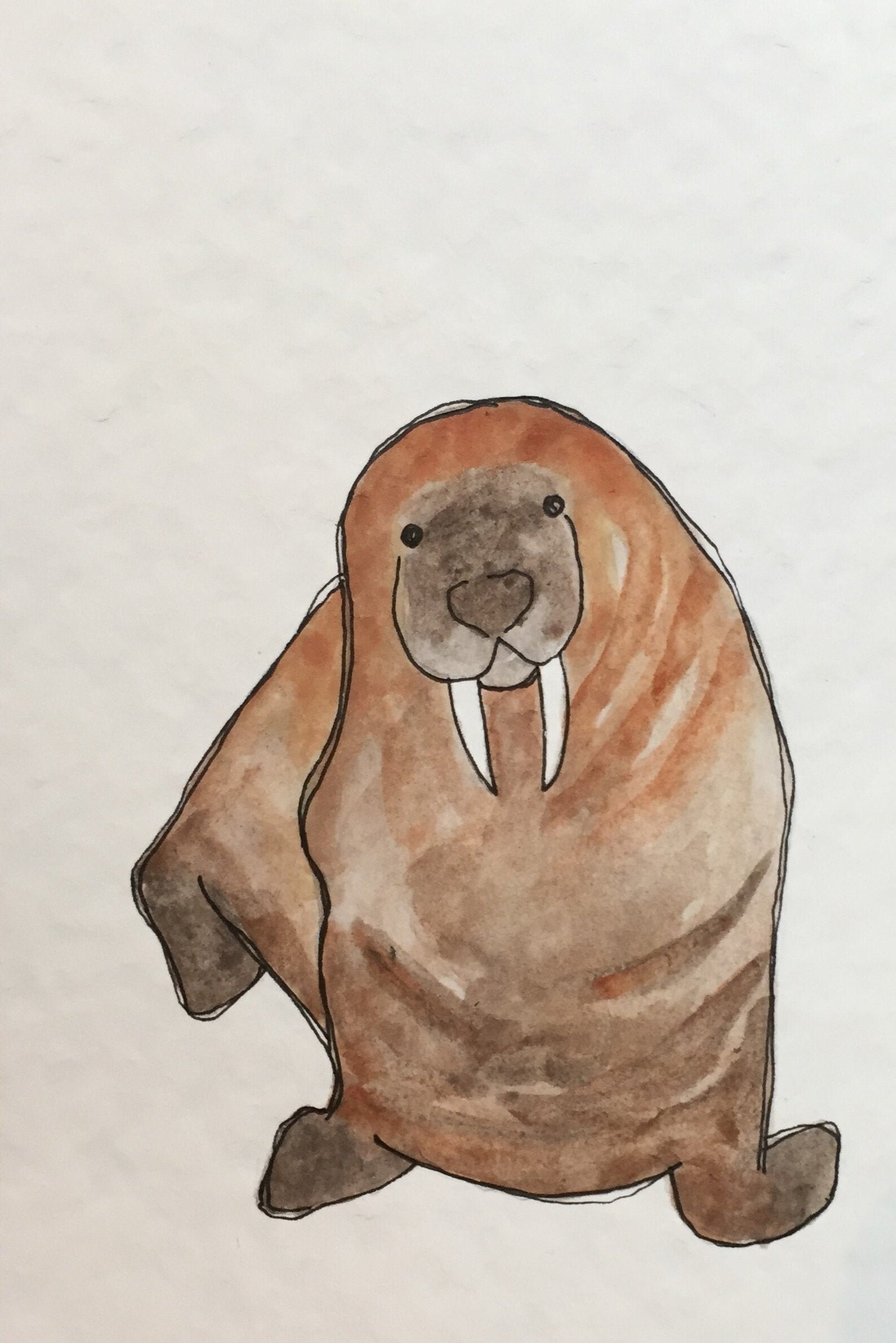 Walrus Original Watercolor Painting, Grey & Brown Elephant Seal 4x6 ...