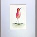 Whimsical Red Standing Bird Original Watercolor, Tall Thin Redbird ...