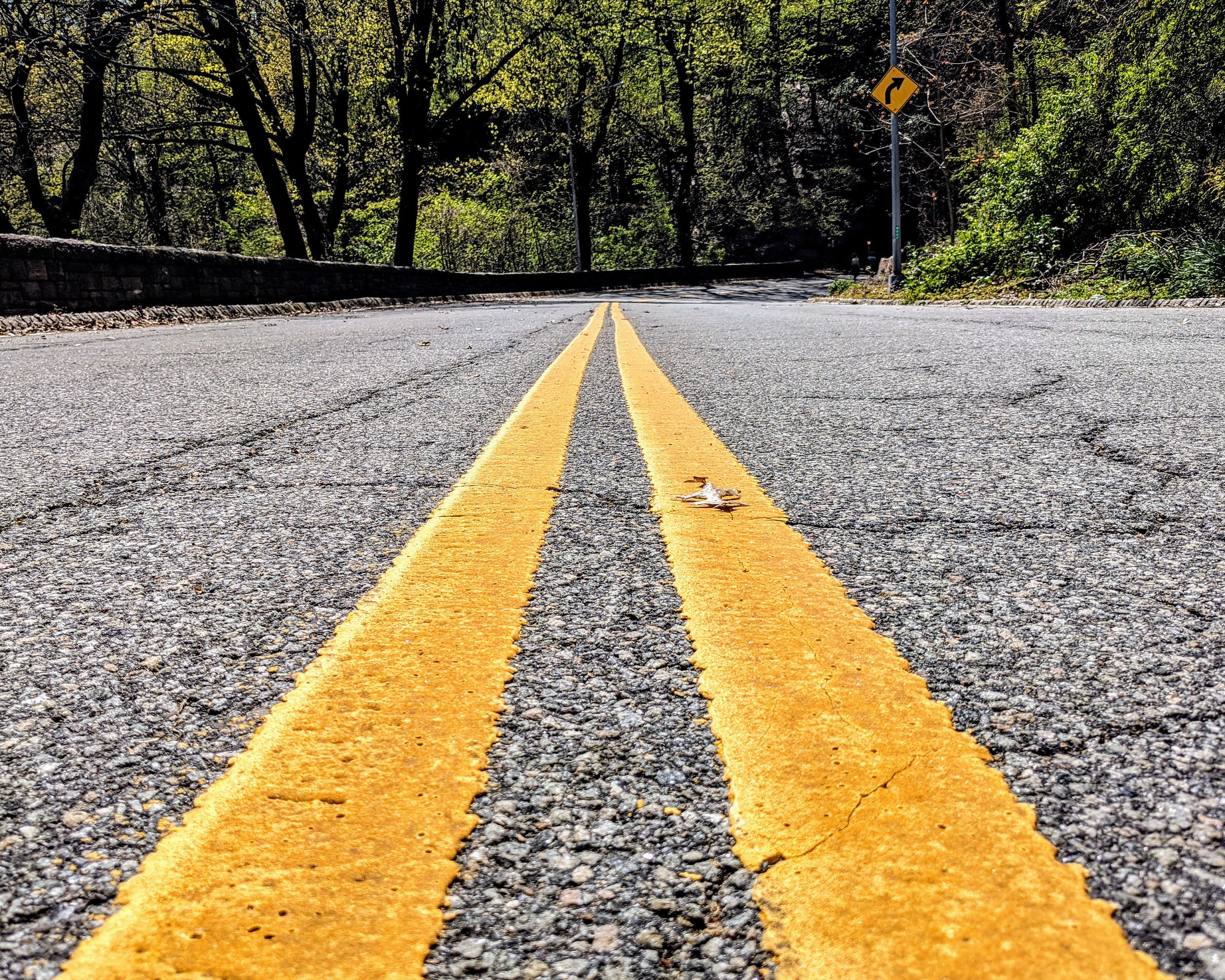 Yellow Street Lines