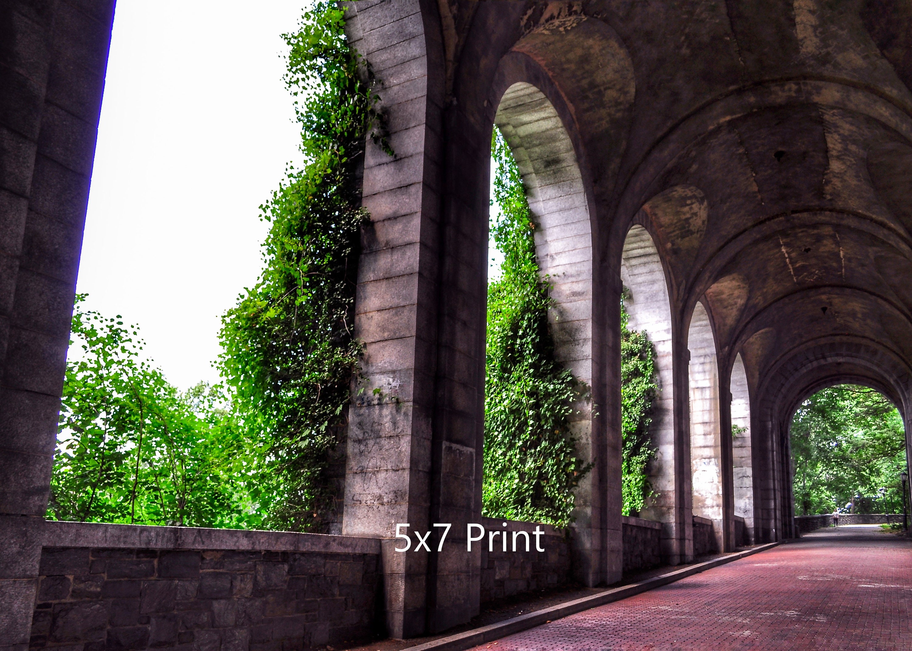 Are Dogs Allowed In Fort Tryon Park