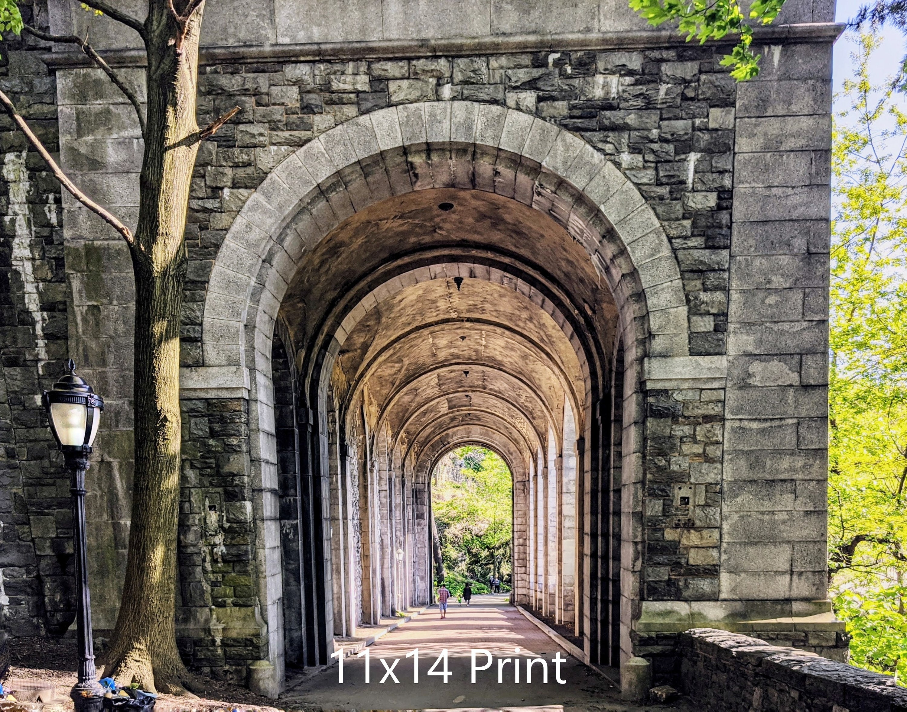 Are Dogs Allowed In Fort Tryon Park