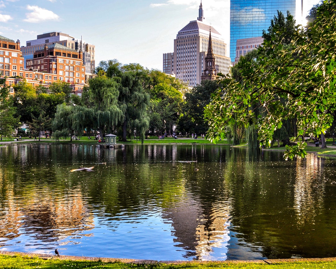 Boston Common Large Wall Art Photography Print Frog Pond Building ...