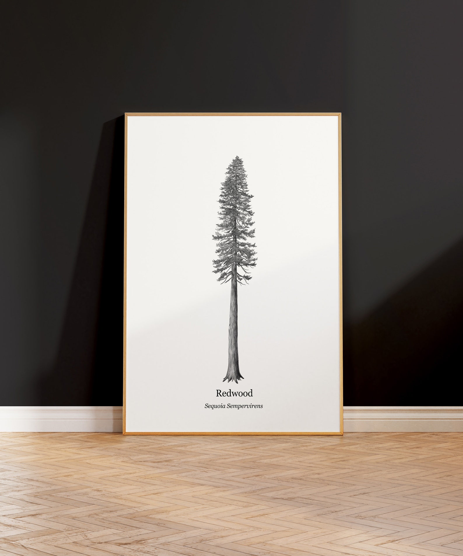Redwood Tree Illustration Art Print - Etsy