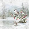 45 PNG Set 2 Christmas Red Cardinal Clipart Bundle, Festive Bird ...