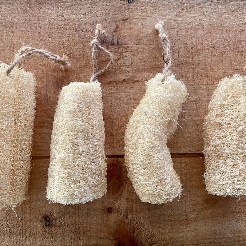 Luffa - Etsy