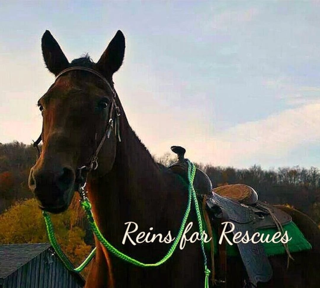 Custom Western Split Riding Reins - Etsy