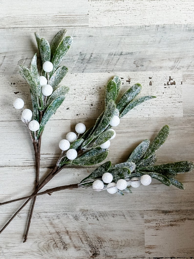 Frosted Holiday Mistletoe Picks, Set of Faux Winter White Berry ...