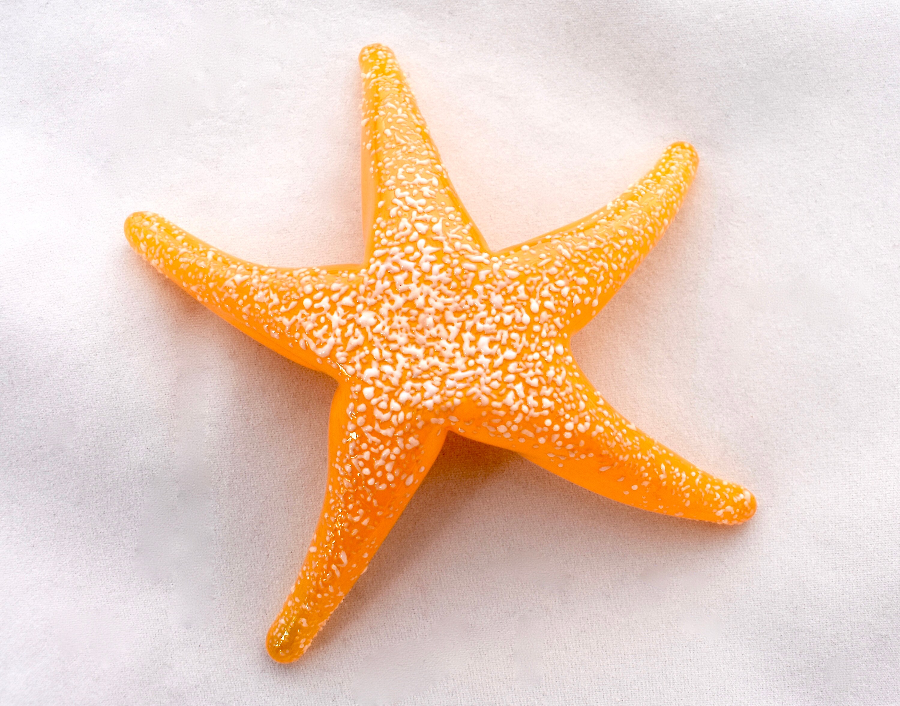 Glass Starfish hand sculpted glass sea stars ocean beach | Etsy