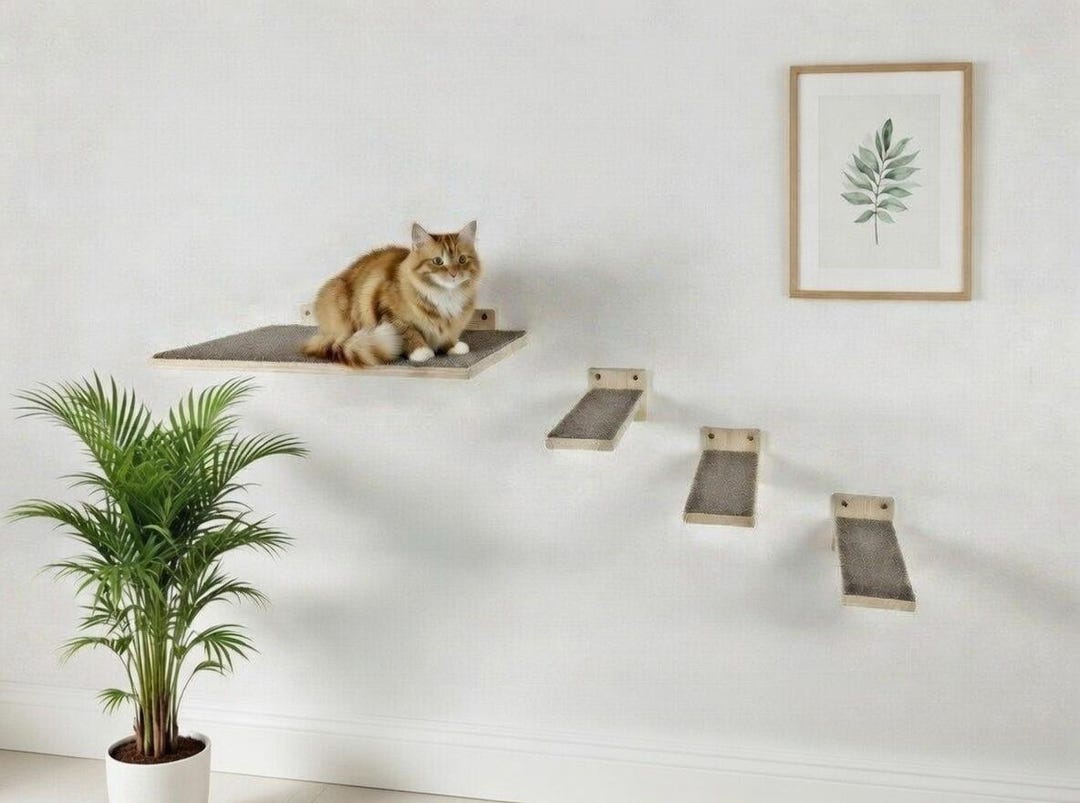Cat Wall Shelf With Three Steps Carpet Wood - Etsy