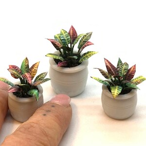 Miniature Plant Croton Handmade 1:12 Scale 2 Sizes - Etsy