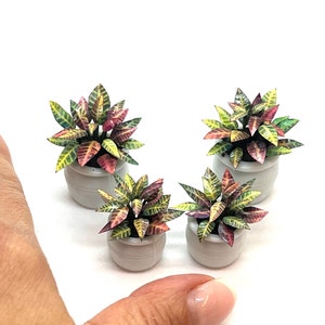 Miniature Plant, Croton, Handmade, 1:12 Scale, 2 Sizes - Etsy