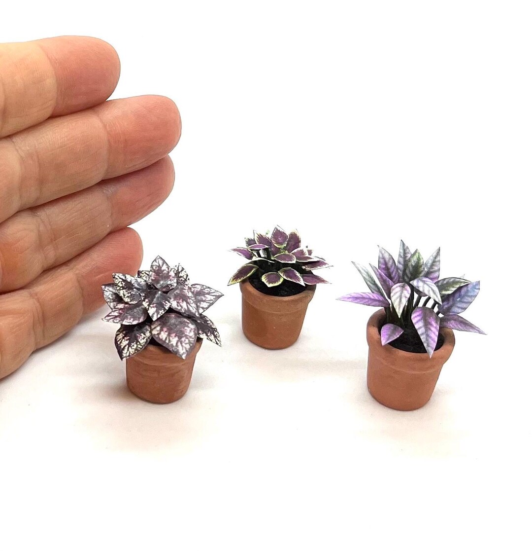 Miniature Plant Bundle, "the Colourful Bundle", Handmade, 1/12 Scale - Etsy