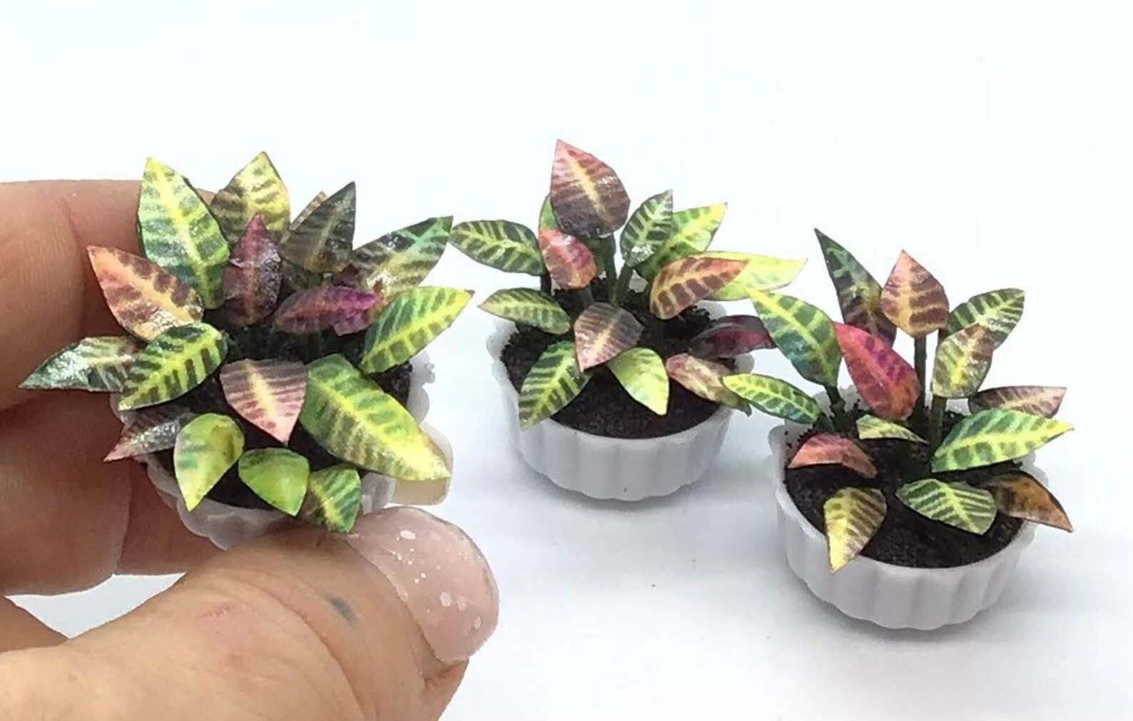 Miniature Plant Croton Handmade 1:12 Scale - Etsy