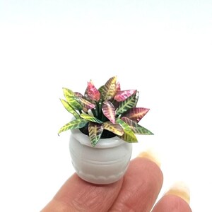 Miniature Plant, Croton, Handmade, 1:12 Scale, 2 Sizes - Etsy
