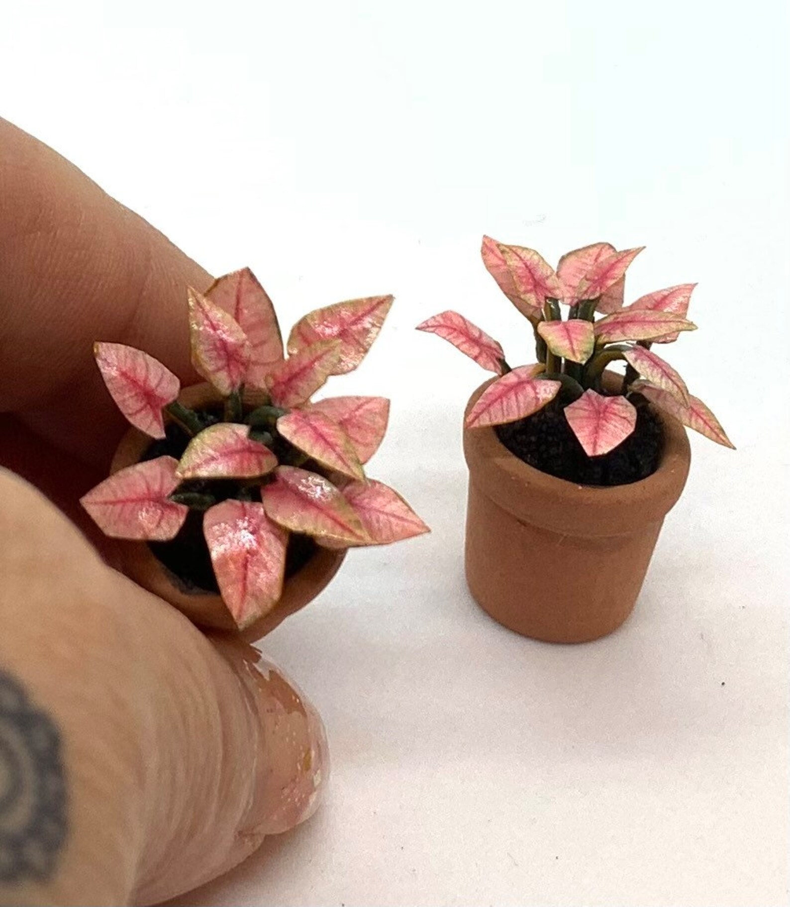 Miniature Plant Caladium Handmade 1/12 one In Scale - Etsy
