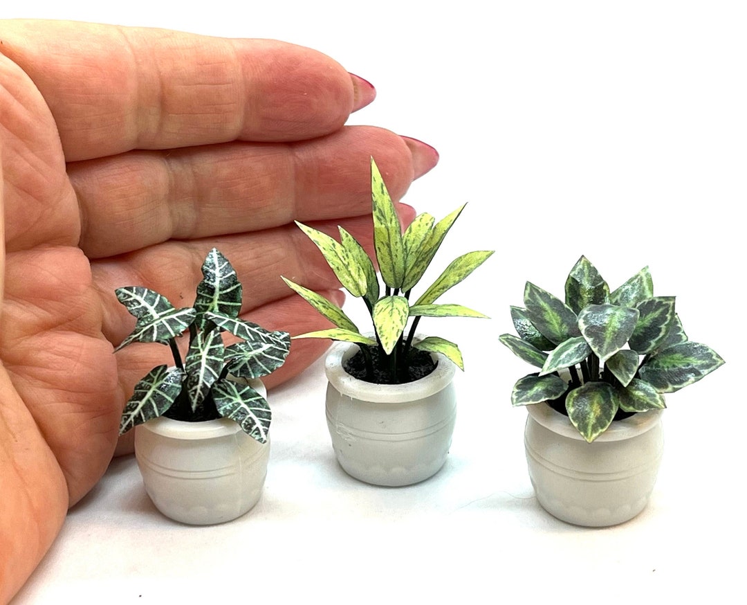 Miniature Plant Bundle, the Green Bundle, Handmade, 1/12 Scale - Etsy