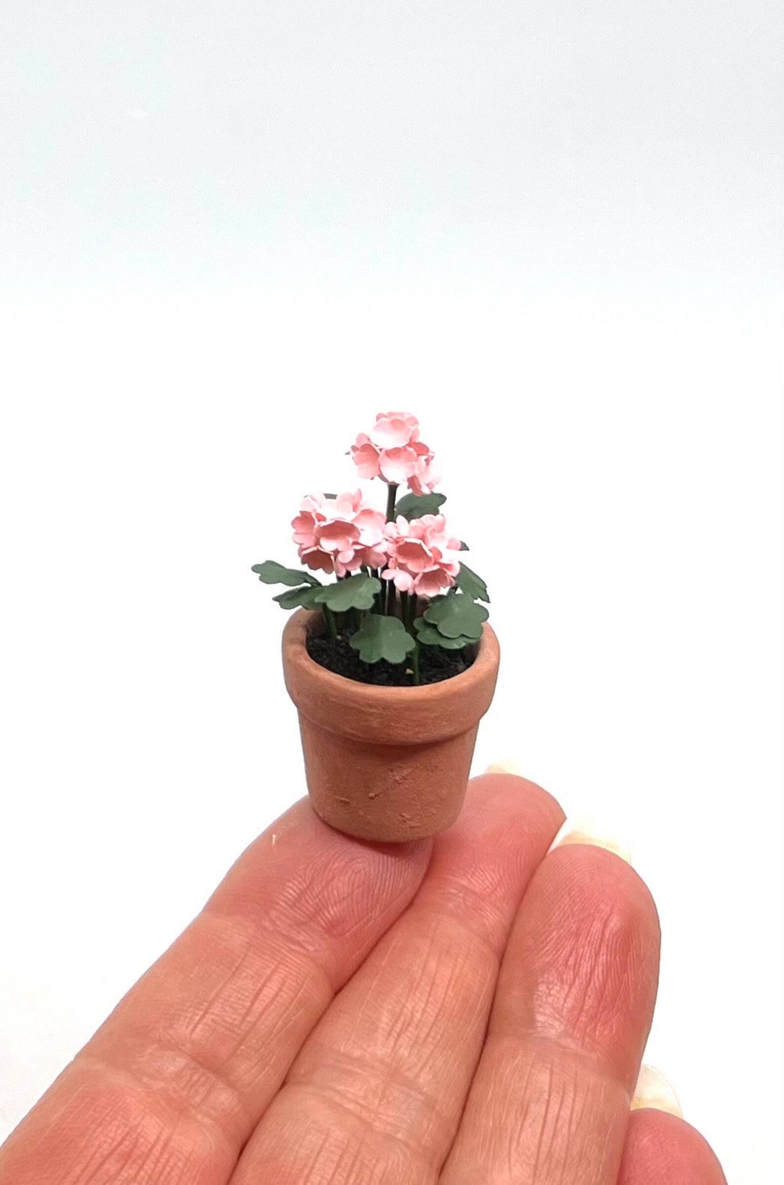 Miniature Geranium, Handmade, 1:12 Scale - Etsy