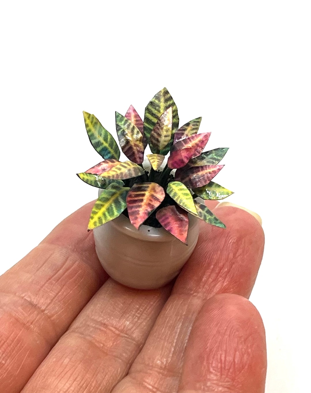 Miniature Plant, Croton, Handmade, 1:12 Scale, 2 Sizes - Etsy
