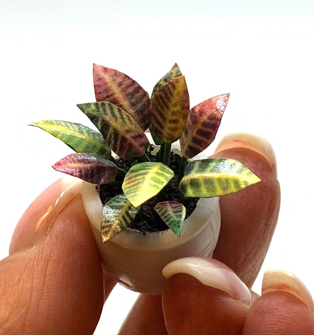Miniature Plant Croton Handmade 1:12 Scale 2 Sizes - Etsy