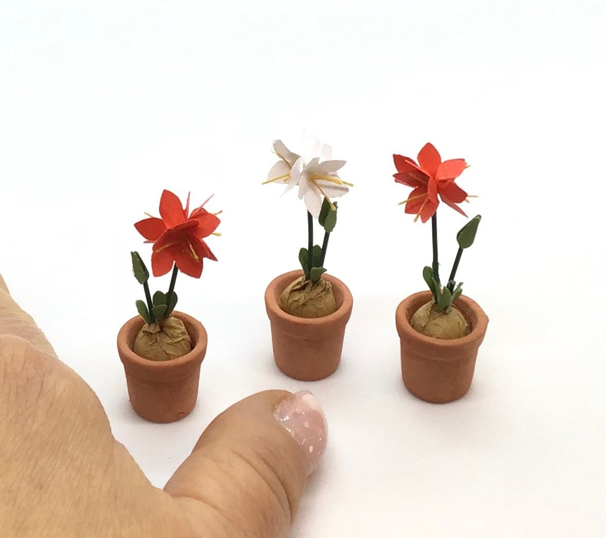 Miniature Amaryllis Handmade 1/12 one In Scale 2 Colours | Etsy