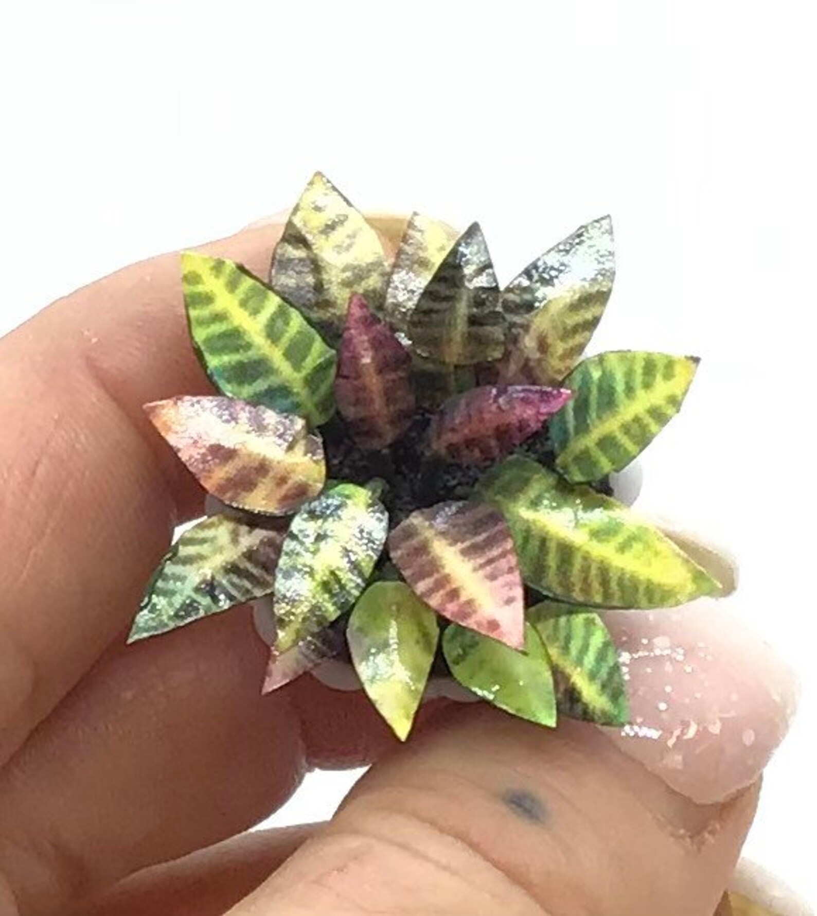 Miniature Plant Croton Handmade 1:12 Scale - Etsy