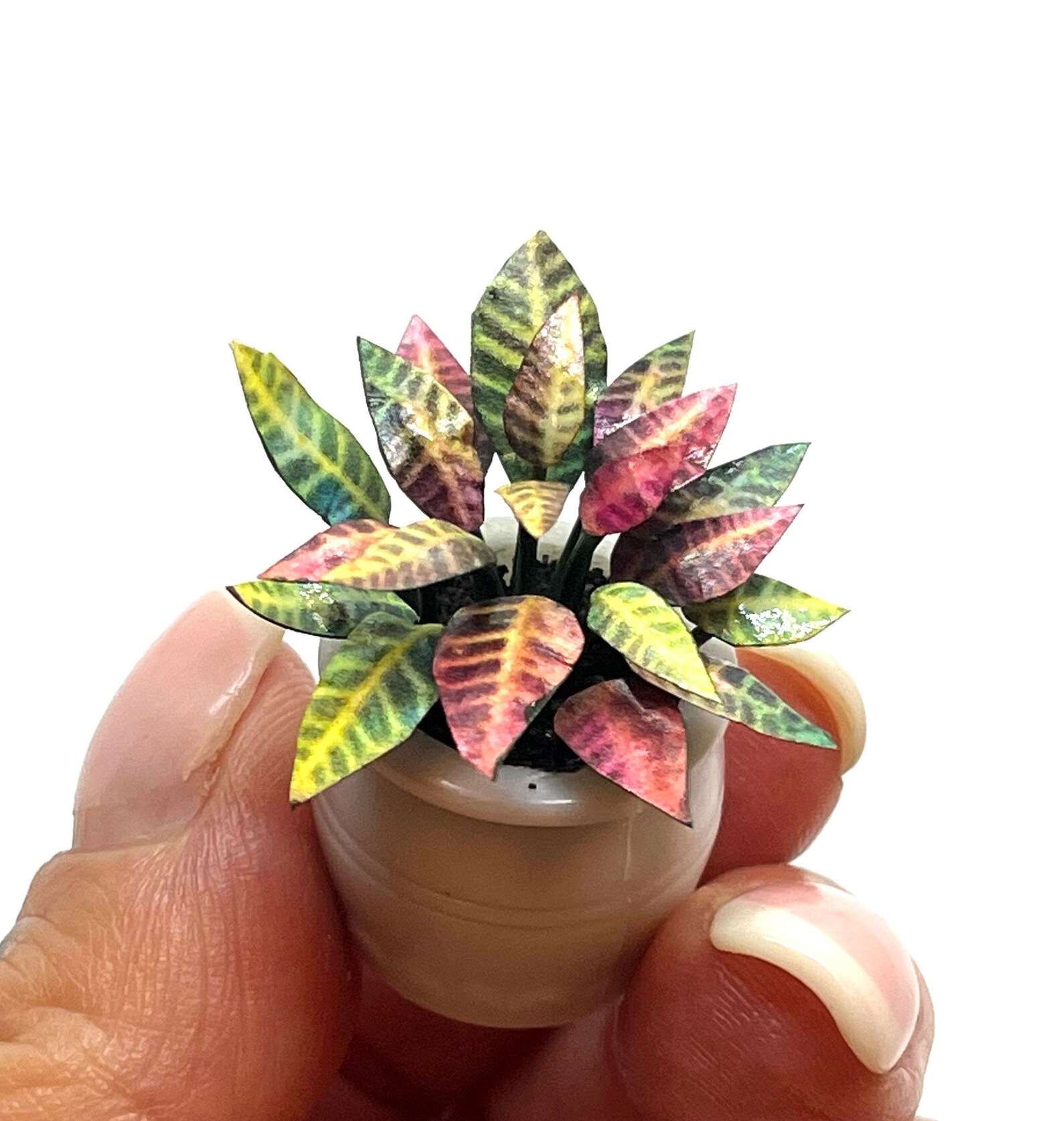 Miniature Plant, Croton, Handmade, 1:12 Scale, 2 Sizes - Etsy