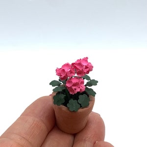 Miniature Geranium, Handmade, 1:12 Scale - Etsy