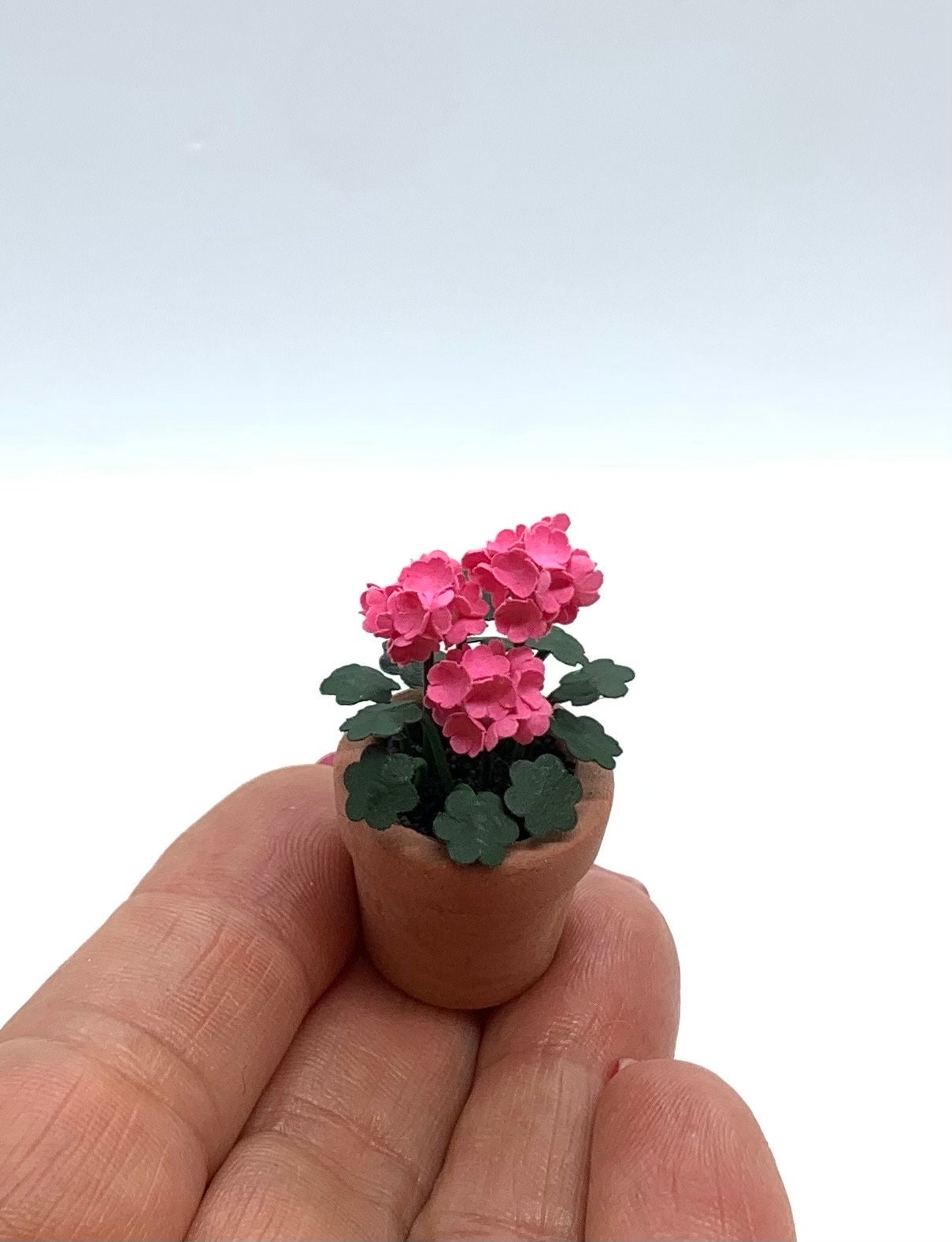 Miniature Geranium, Handmade, 1:12 Scale - Etsy