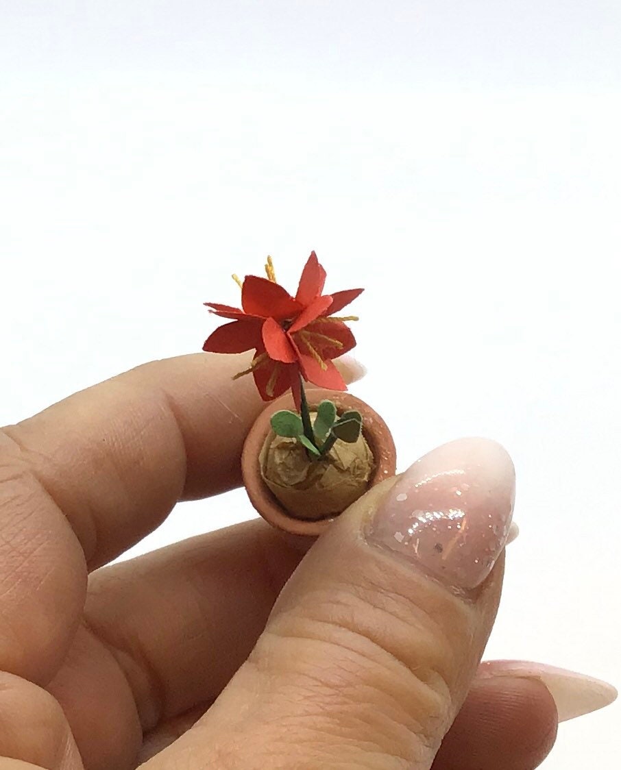 Miniature Amaryllis Handmade 1/12 one In Scale 2 Colours | Etsy