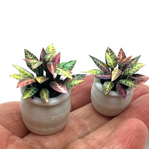 Miniature Plant, Croton, Handmade, 1:12 Scale, 2 Sizes - Etsy