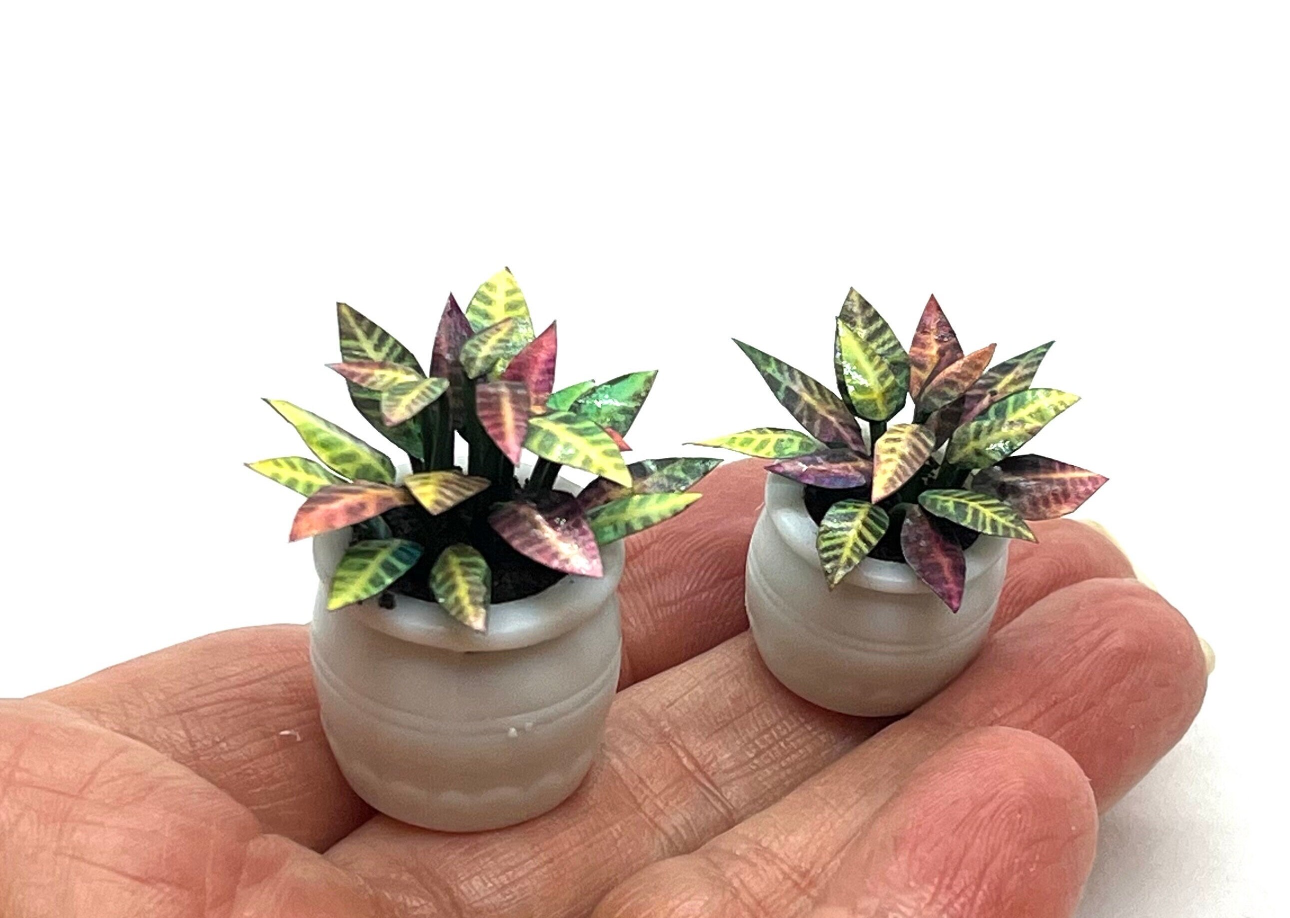 Miniature Plant, Croton, Handmade, 1:12 Scale, 2 Sizes - Etsy