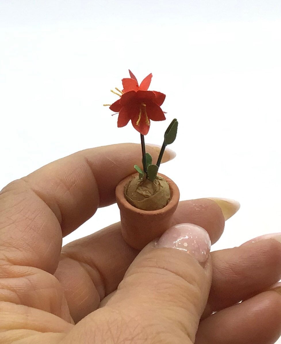 Miniature Amaryllis Handmade 1/12 one In Scale 2 Colours | Etsy