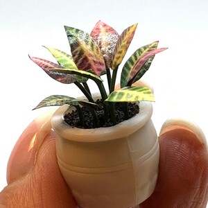 Miniature Plant Croton Handmade 1:12 Scale 2 Sizes - Etsy