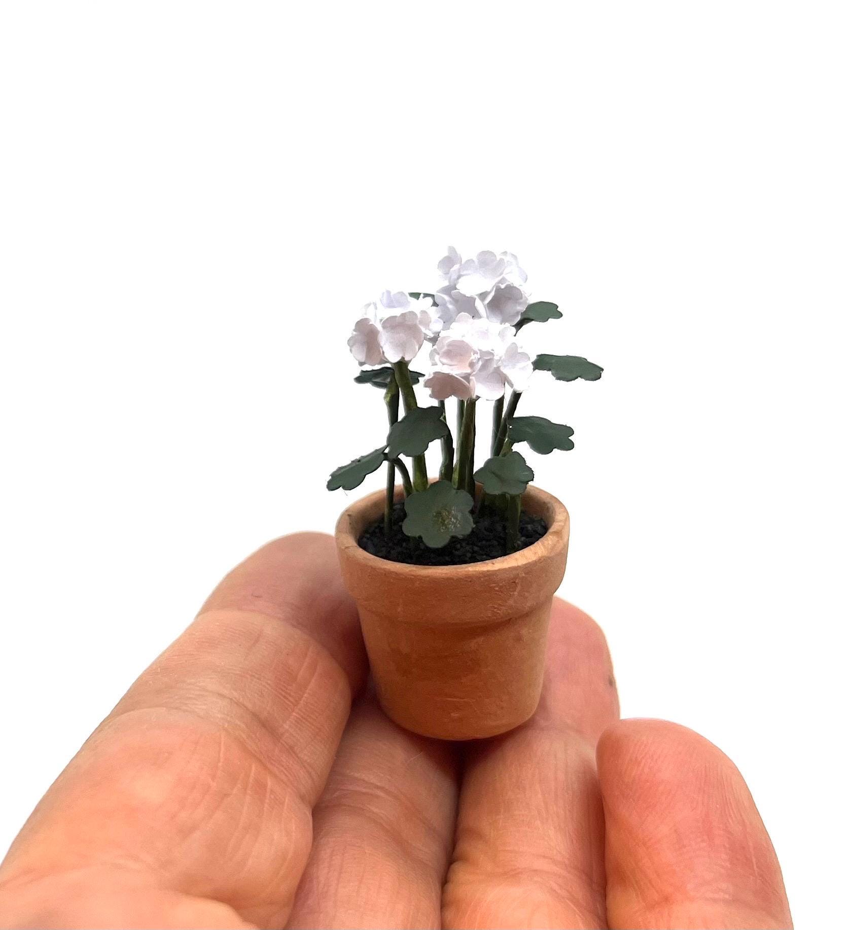 Miniature Geranium, Handmade, 1:12 Scale - Etsy
