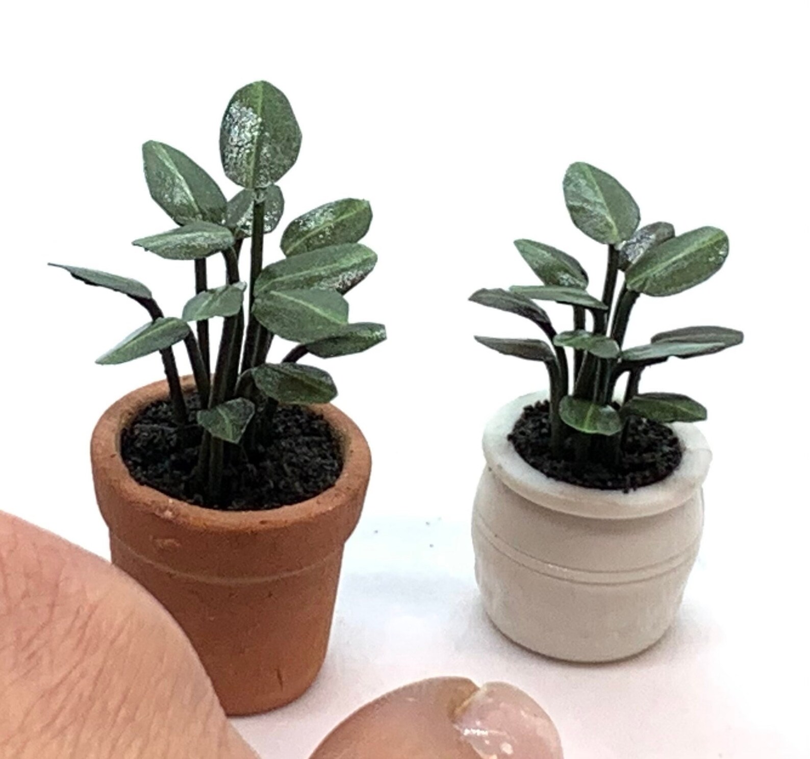 Miniature Plant Rubber Plant Handmade 1/12 Scale - Etsy