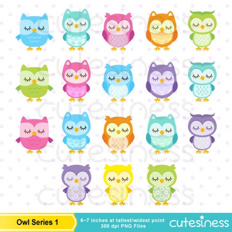 Cute Owl Clipart Owl Clipart Cute Owl Clip Art Owl Clip | Etsy