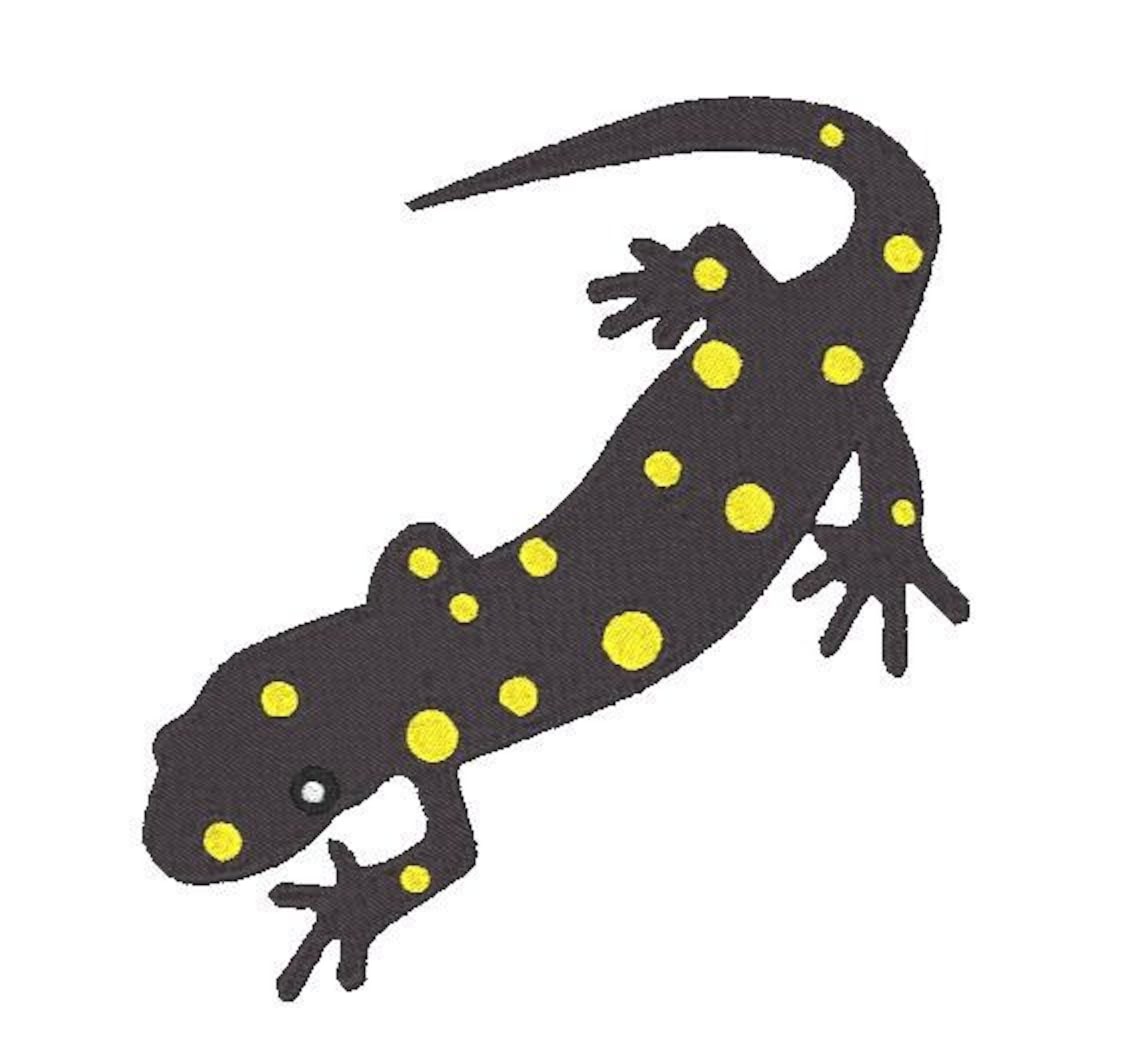 Salamander Machine Embroidery Design Lizard Design Embroidery | Etsy