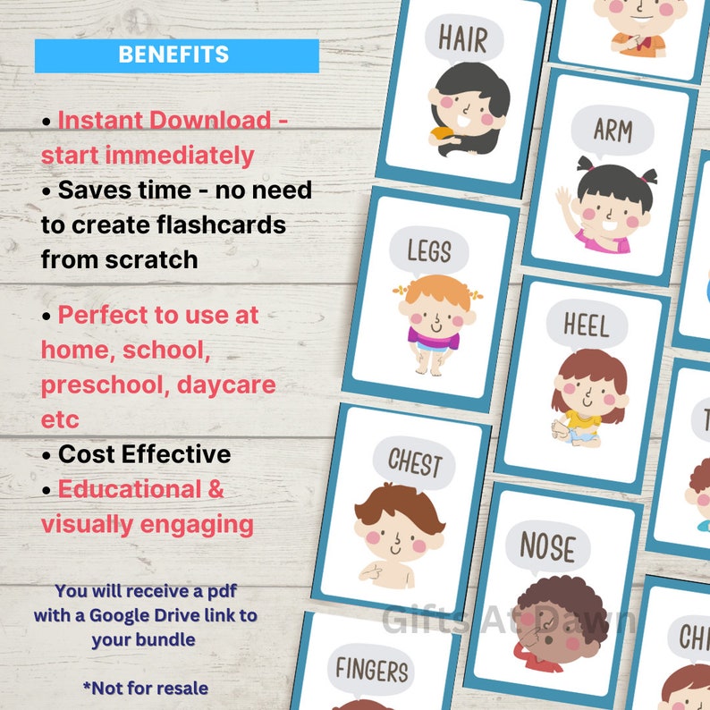 Human Body Parts Flashcards for Kids Colorful Anatomy Flashcards ...