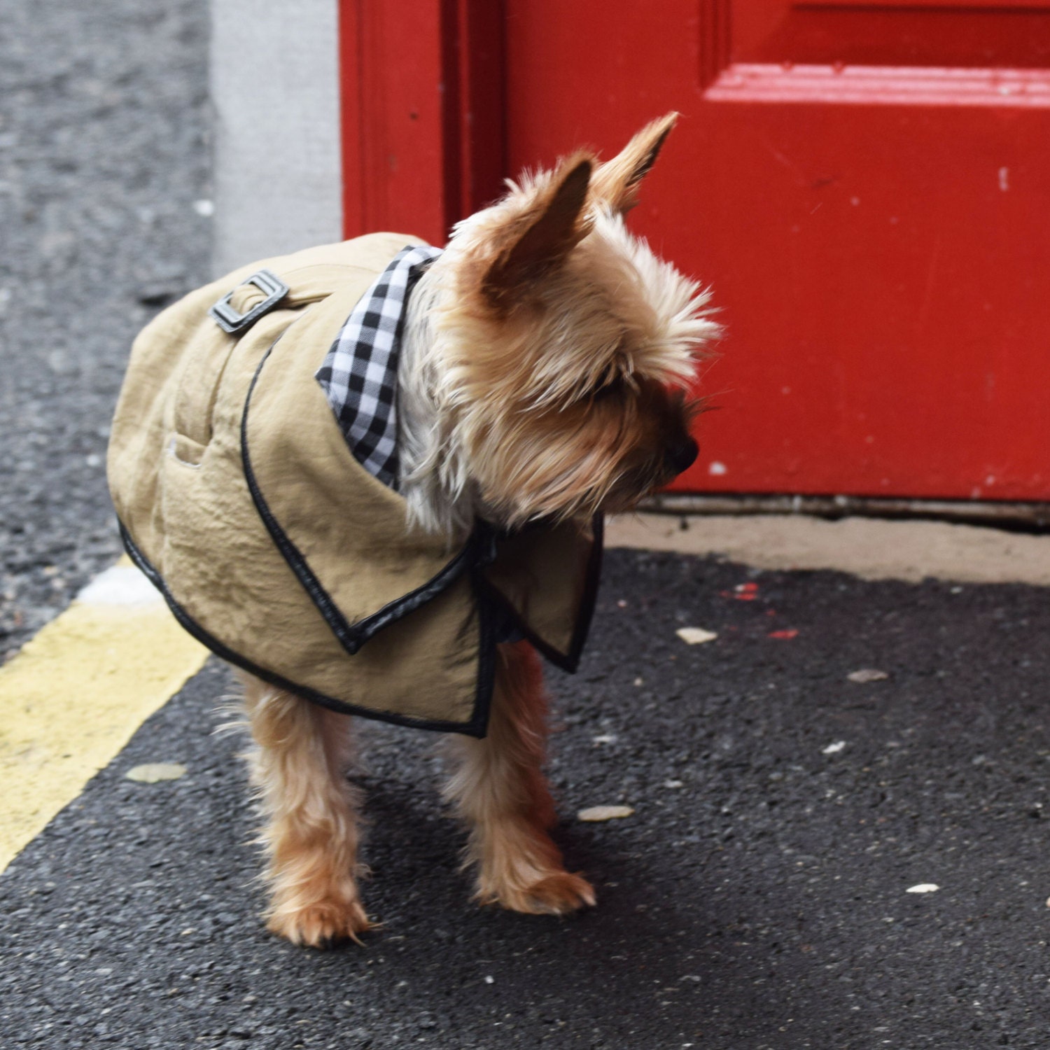 The Dog Trench Coat - Etsy
