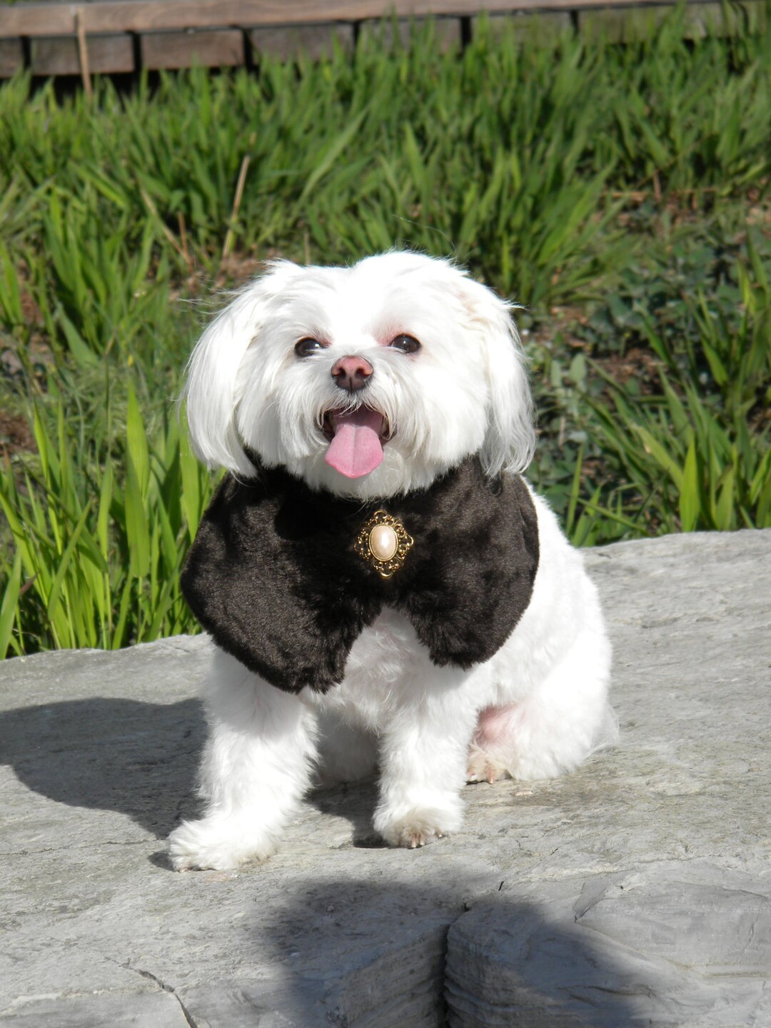 The Faux Fur Dog Collar Stole - Etsy