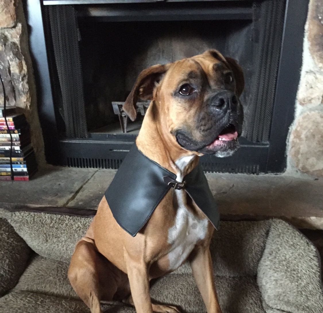 The Buckle Dog Cape in Black Faux Leather - Etsy