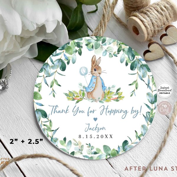 Peter Rabbit Tags - Etsy