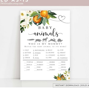Orange Citrus Baby Animal Matching Game A Little Cutie on the Way ...