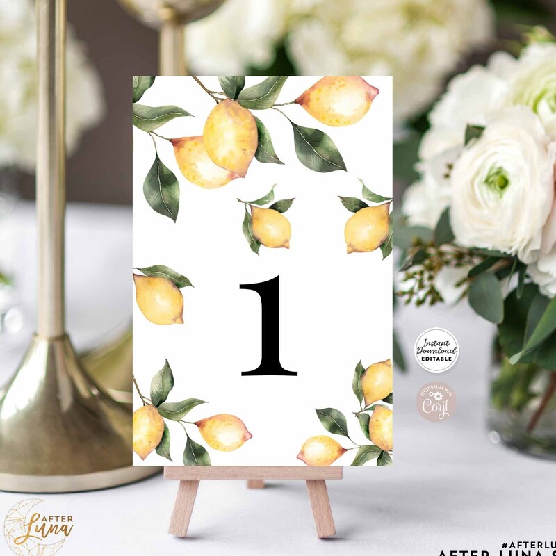 Lemon Table Decor - Etsy