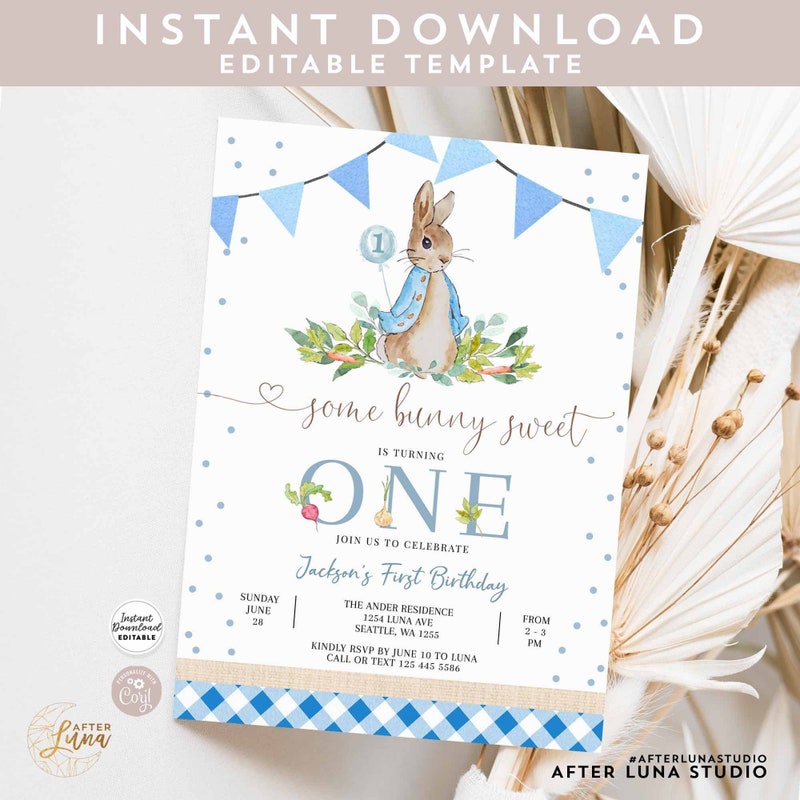 Peter Rabbit First Birthday - Etsy