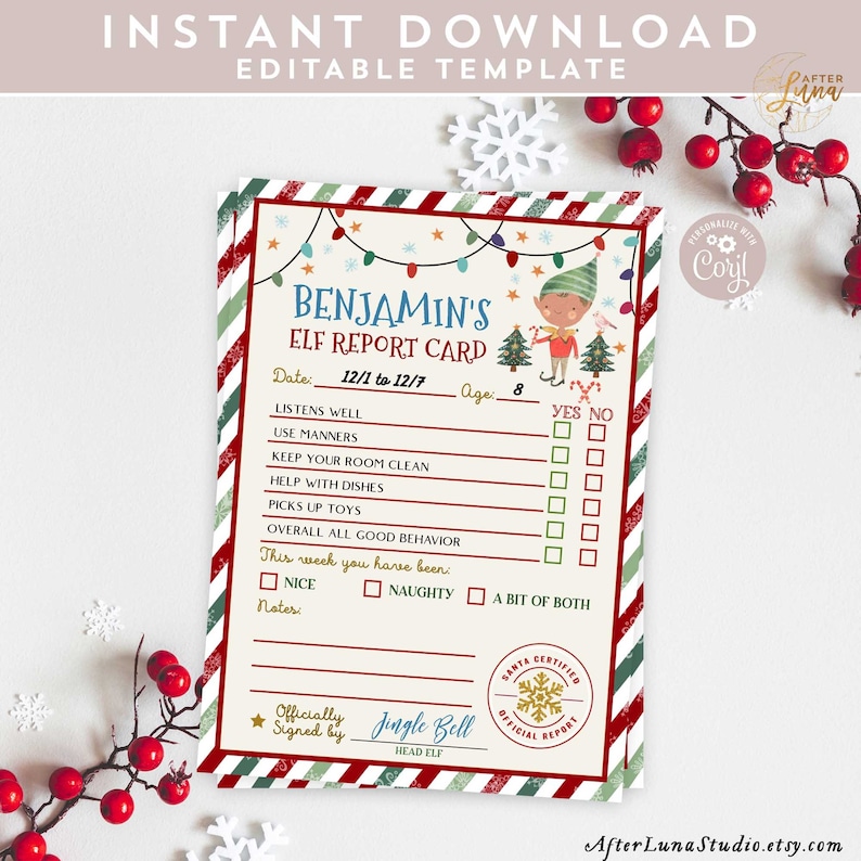 EDITABLE Boy Elf Report Card Printable Green Red Stripes Elf | Etsy Canada