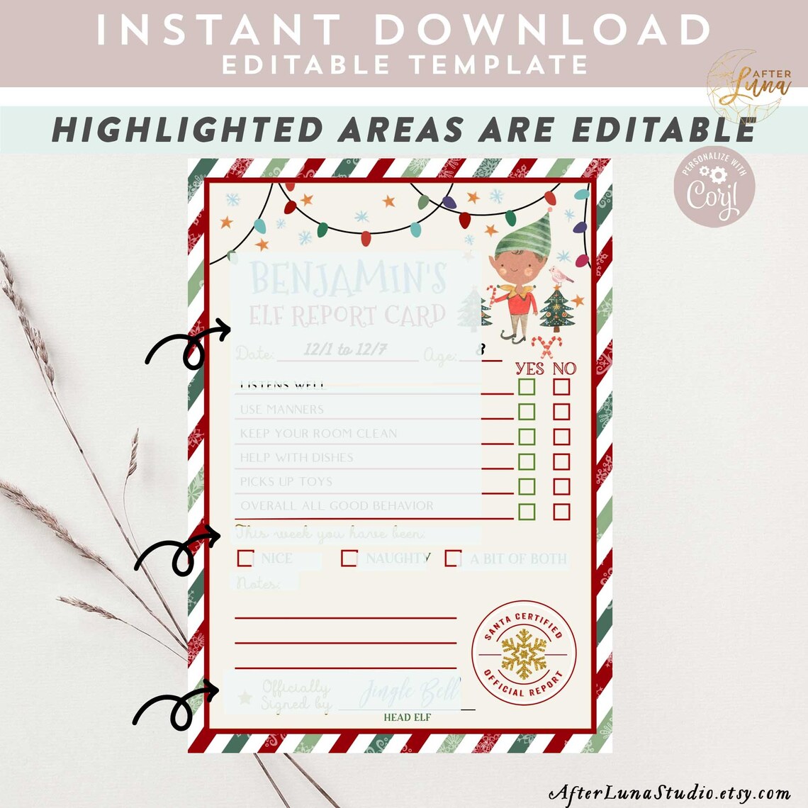 EDITABLE Boy Elf Report Card Printable Green Red Stripes Elf | Etsy Canada
